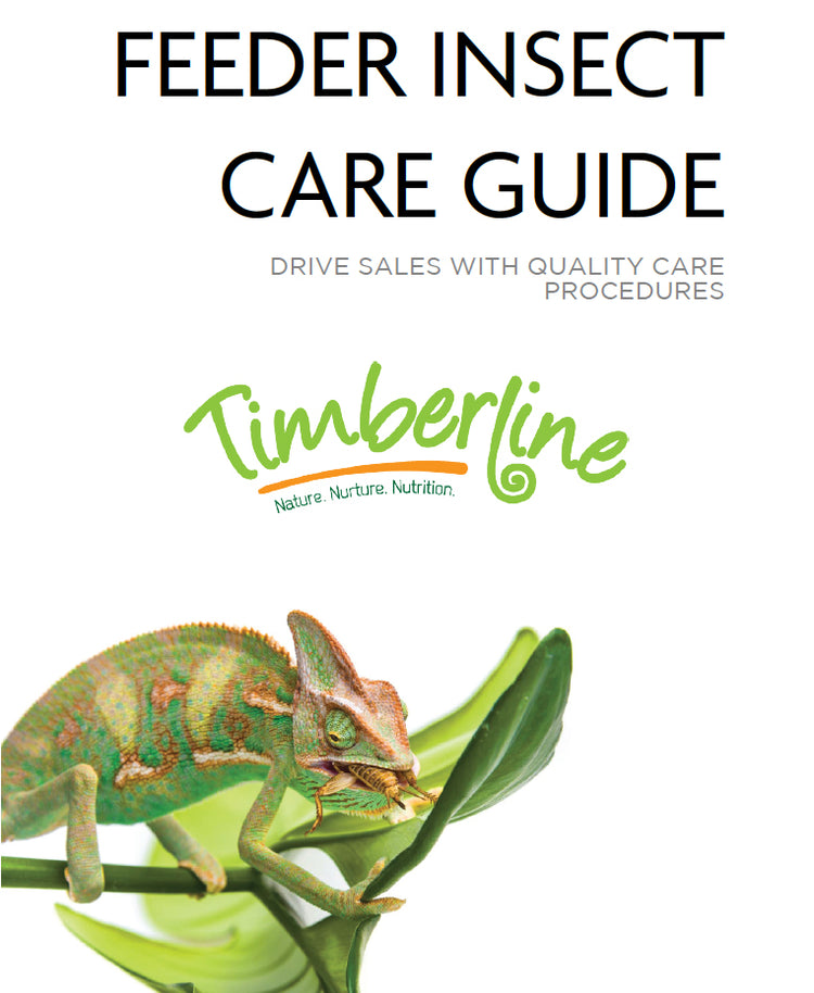Feeder Insect Care – TimberlineFresh